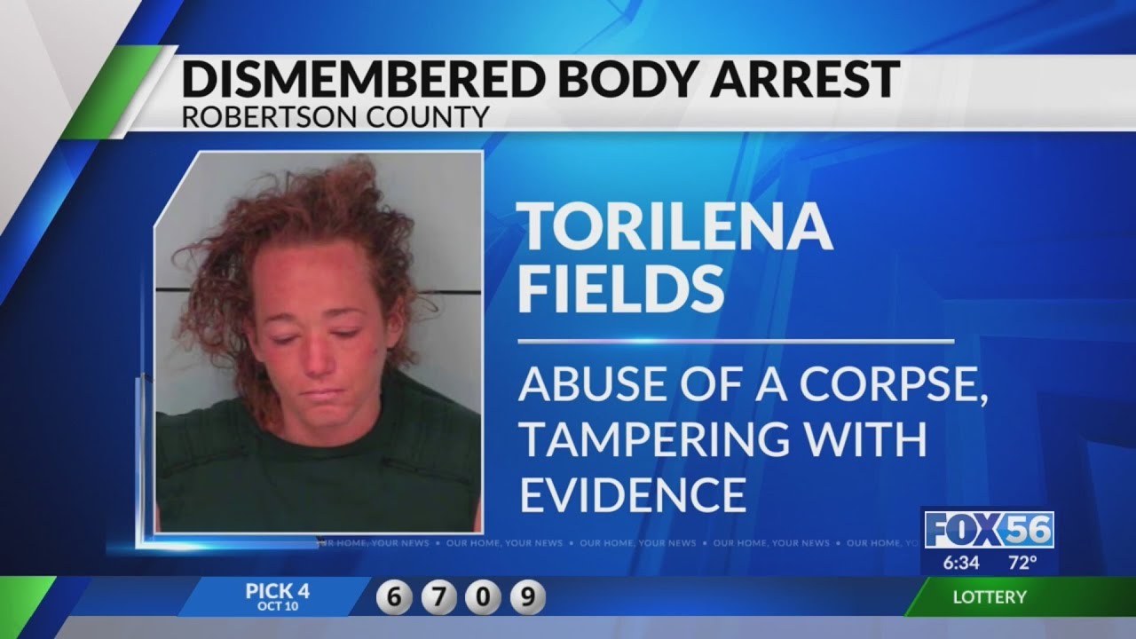 A first look at Torilena Fields - YouTube