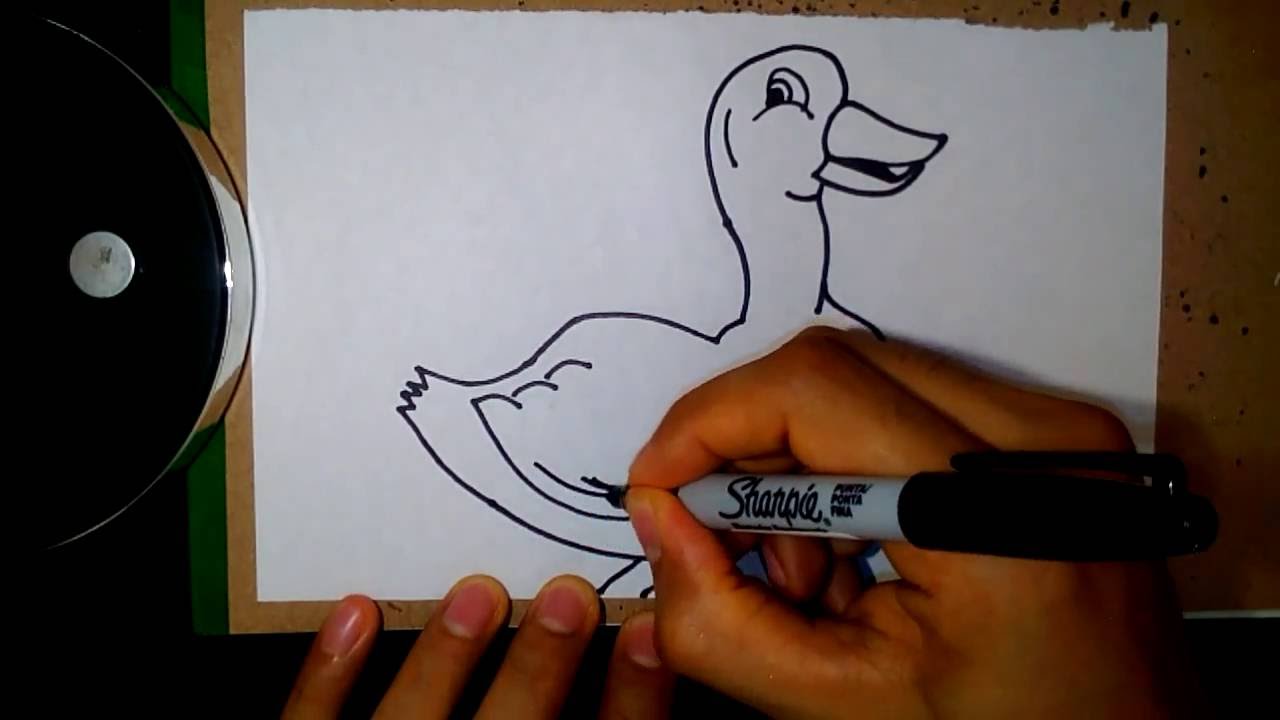 How to Draw a Duck - Como Dibujar un Pato 61 - YouTube