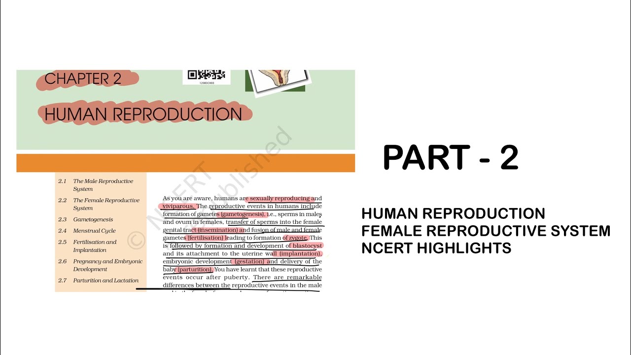 FEMALE REPRODUCTIVE SYSTEM | HUMAN REPRODUCTION | CLASS-12 | NCERT ...