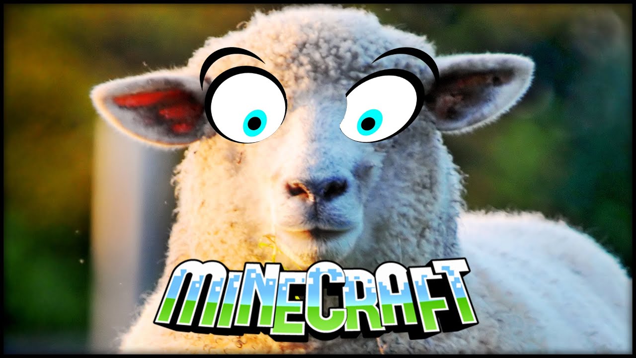 Minecraft - Sheep is not a Centaur! - Build Battle - YouTube