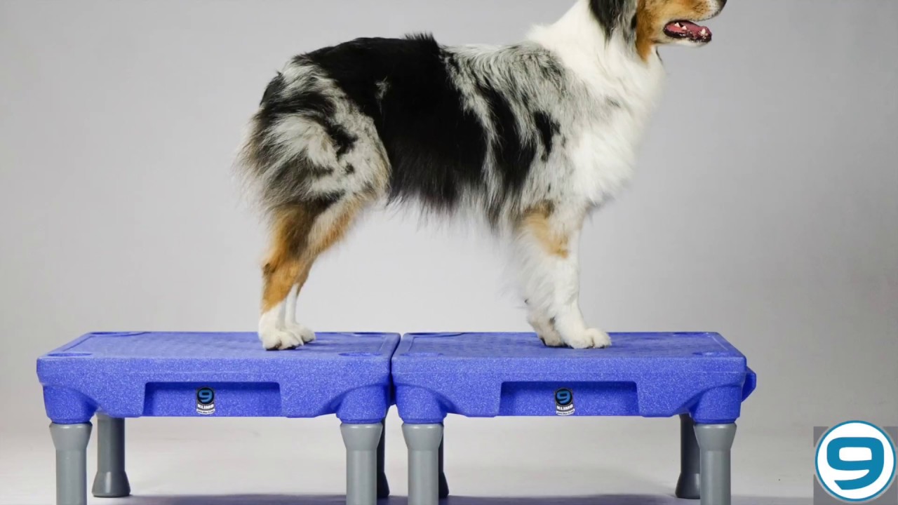 How to Set Up Blue-9's The Klimb - YouTube