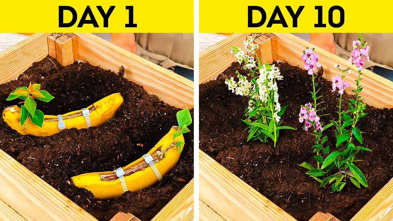 Smart Plant Growing Hacks And Useful Tools For Your Garden - YouTube