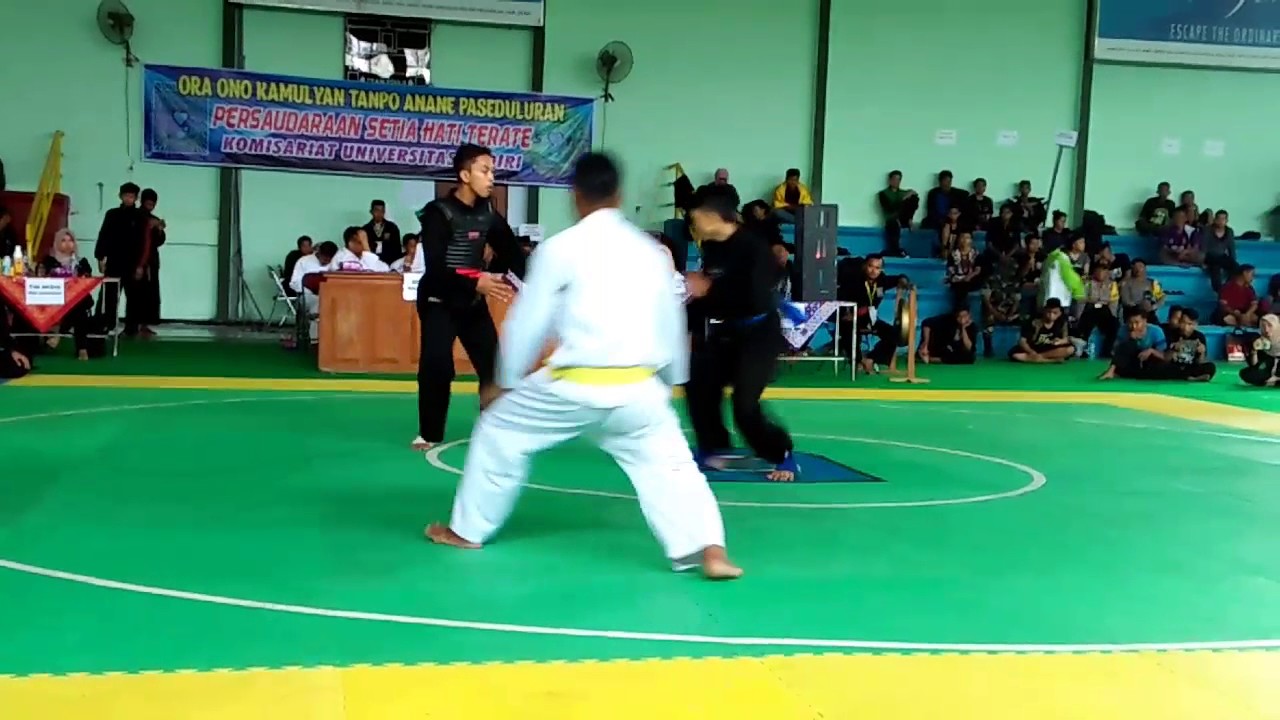 psht sumenep kejuaraan pencak silat sh cup kediri - YouTube