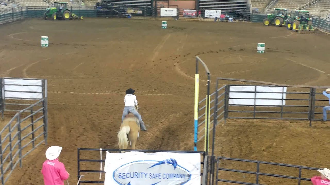 MAXIMUM GOLD 2015 NBHA FL State Finals 6/21/15 - YouTube