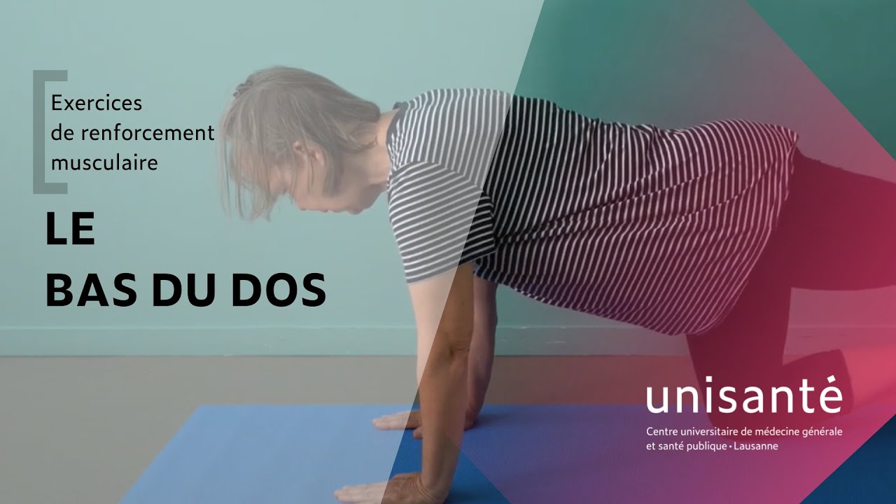 [Exercices de renforcement musculaire] Le bas du dos - YouTube