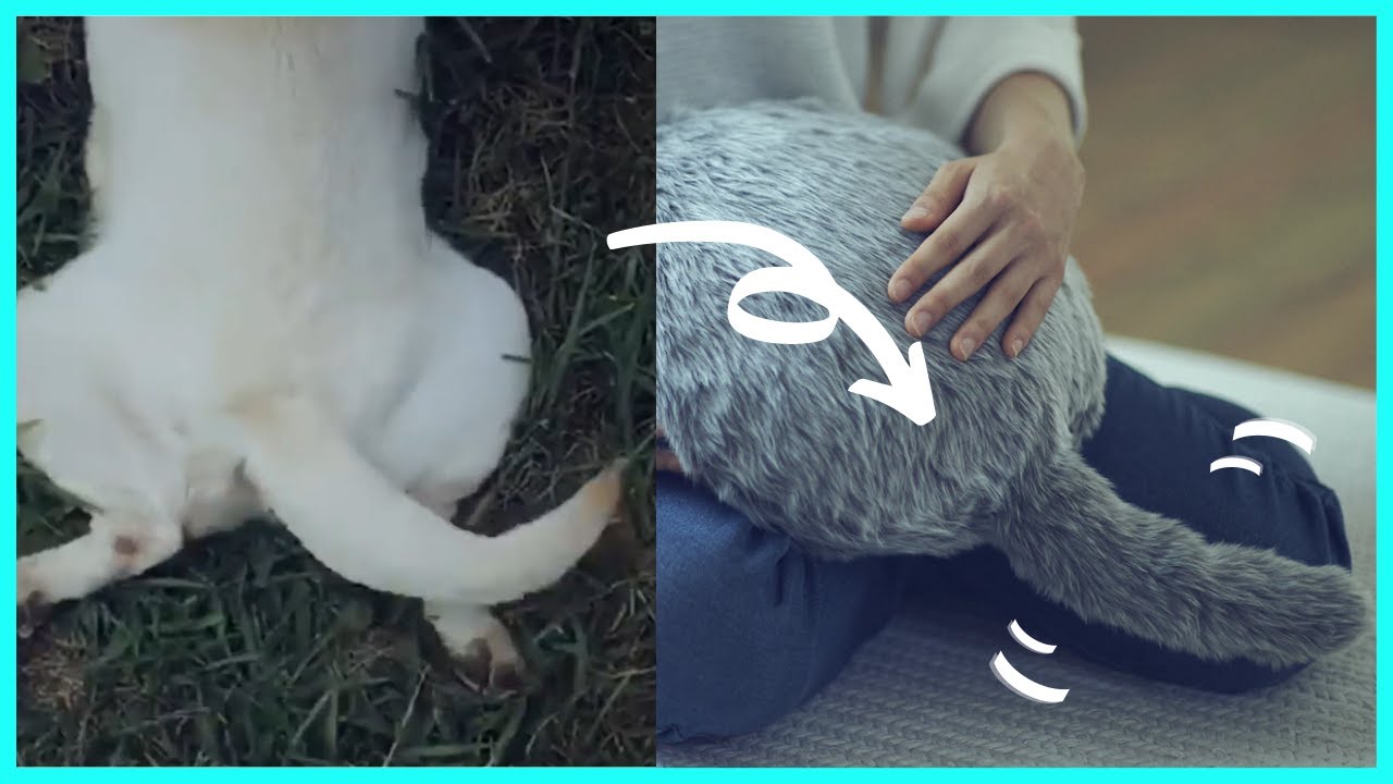 Amazingly Cute Inventions 2021 | That Will Soothe Your Heart - YouTube