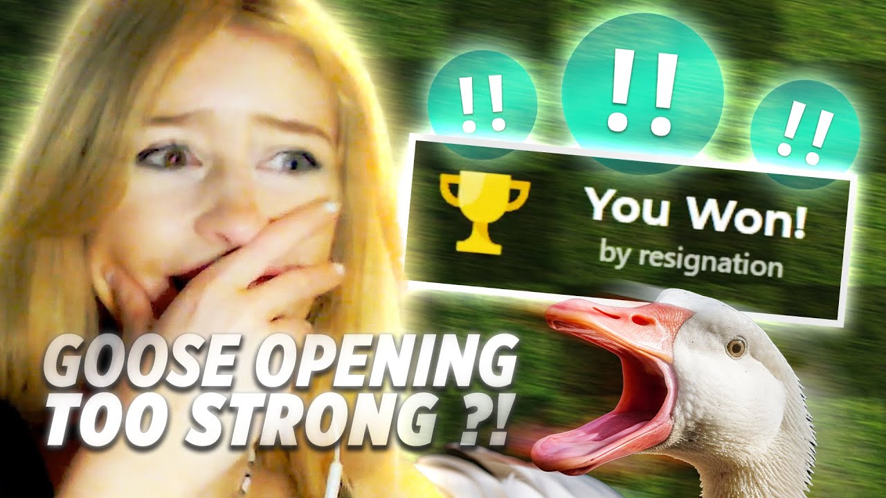 I Can't Stop Beating Everyone with This Opening... | Goose Opening ...