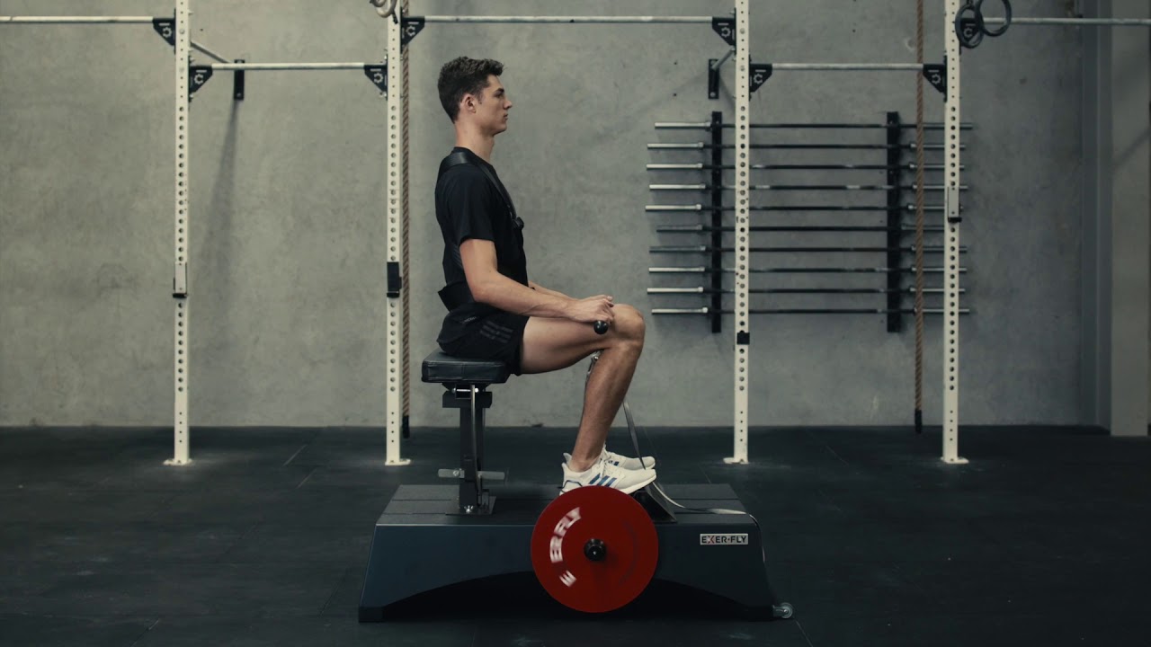 Seated Calf Raises | Flywheel Training | Exerfly Platform - YouTube
