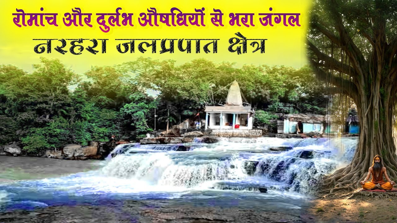नरहरा जलप्रपात || Narhara Waterfall Dhamtari || जड़ी बूटियों से भरा ...