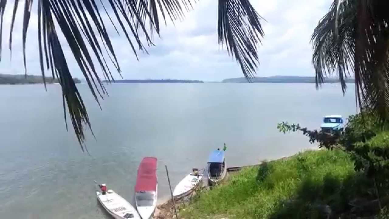 Vista do rio Xingu, Pará, Altamira, Brasil. - YouTube