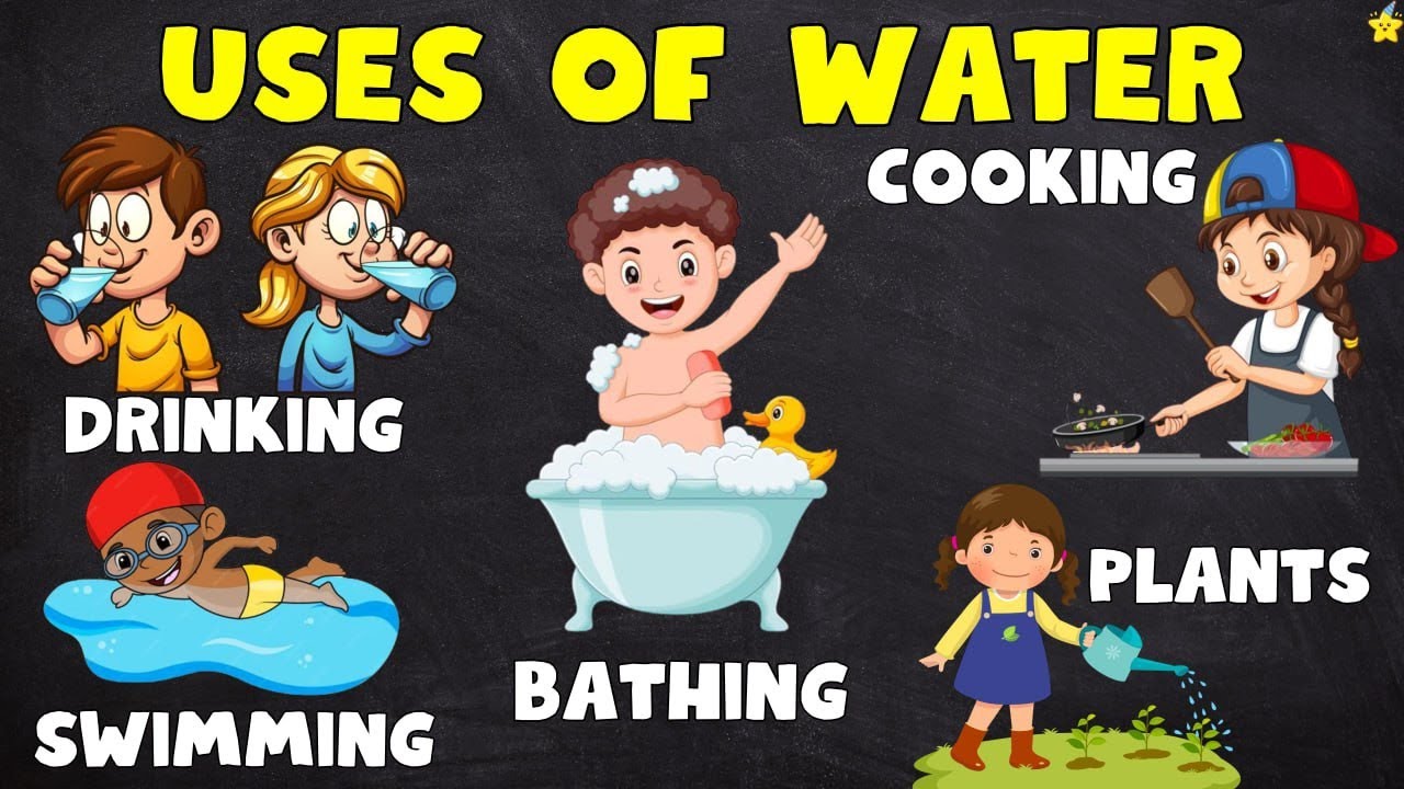 Uses of Water for kids | Importance of water | Water and it's Uses ...