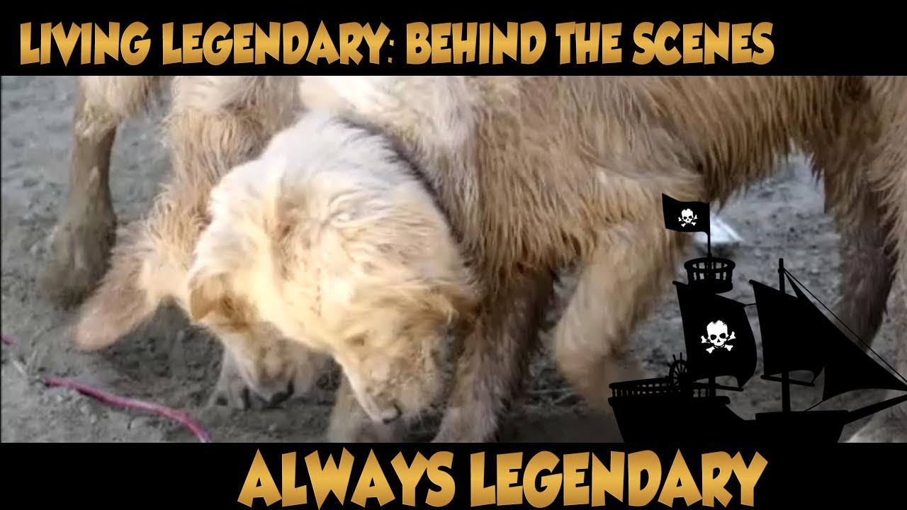 Living Legendary: Behind the Scenes {Episode 02 - Time Lapse} So Much ...