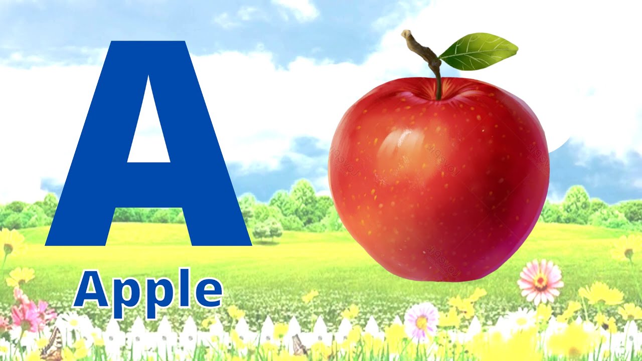 A for apple,a for apple,B for ball,C for cat,phonics song,alphabets|a ...