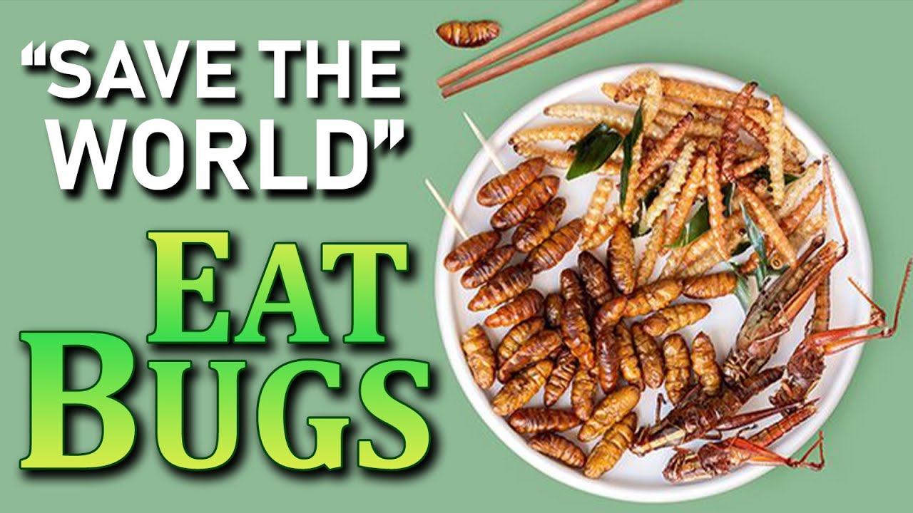Save the World: Eat Bugs 03/25/2024 - YouTube