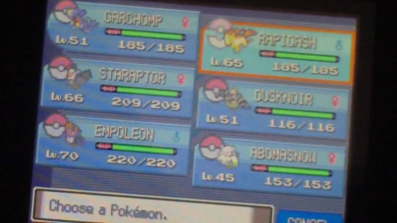 My Pokemon Team/Quality Test - YouTube