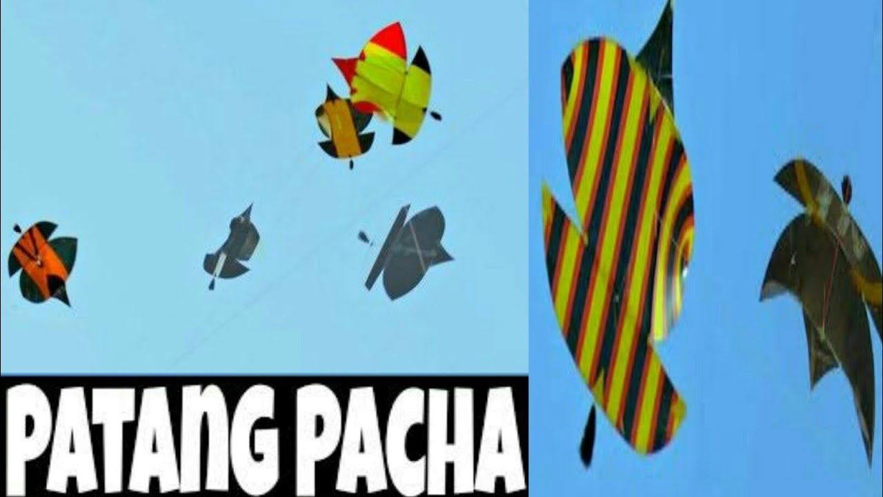 Amazing Patang Fighting | 30+ Lush hawa cross pech | Best Patang pech ...