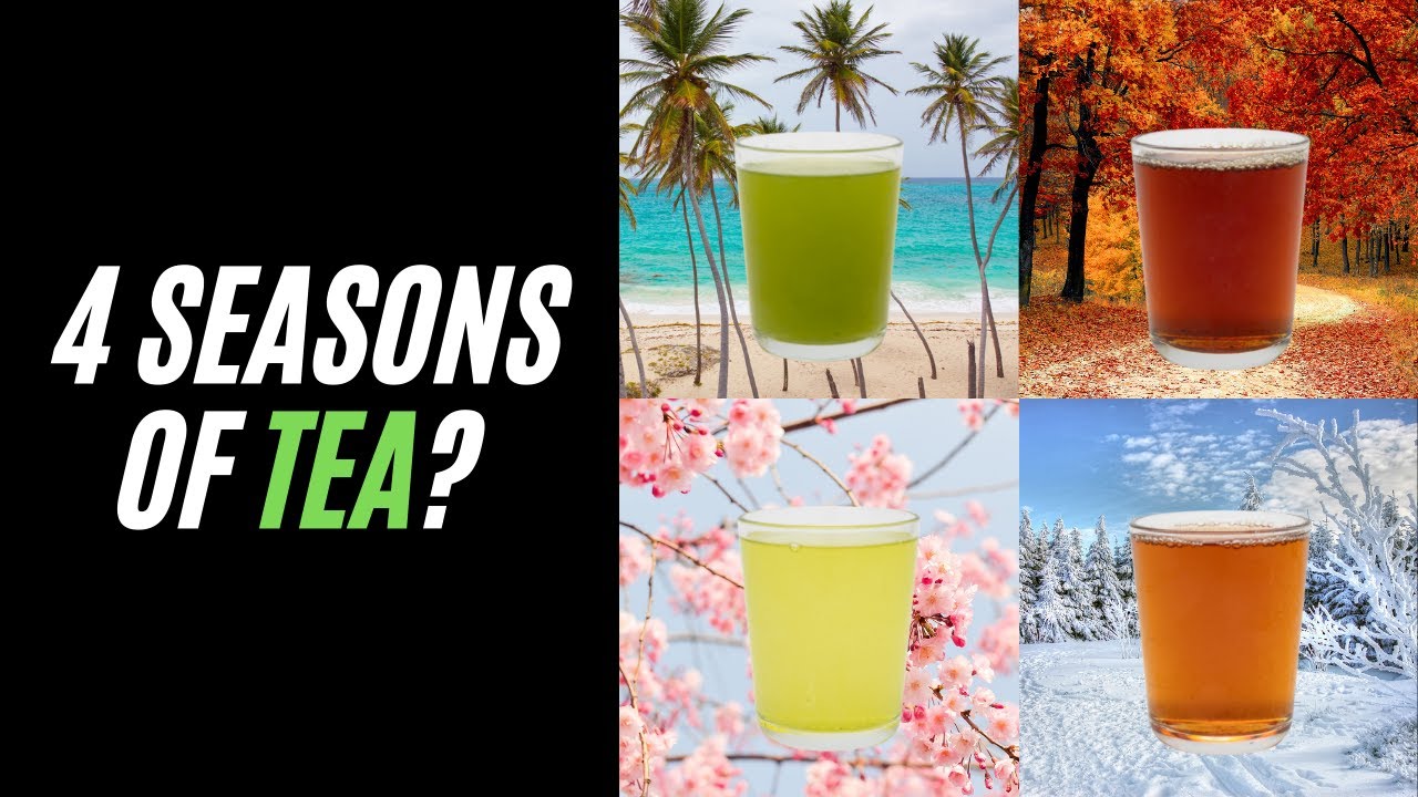 Best Teas for Every Season? The Best tea for Summer, Fall, Winter and ...