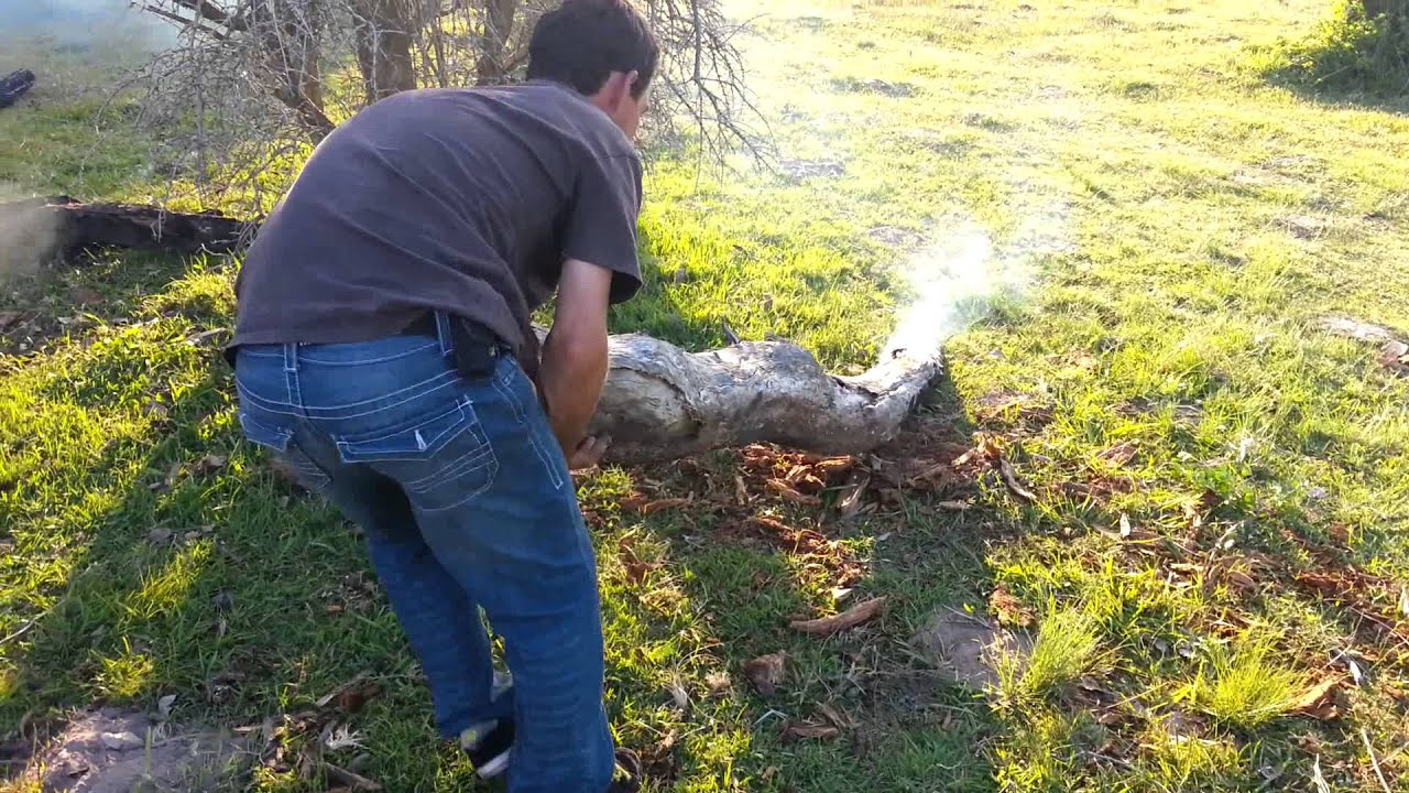 Burning Tree Bond Fire Part 4 - YouTube