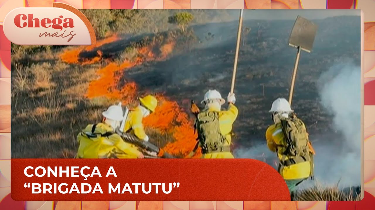 Conheça a "Brigada Matutu" que combate incêndios no sudeste brasileiro ...