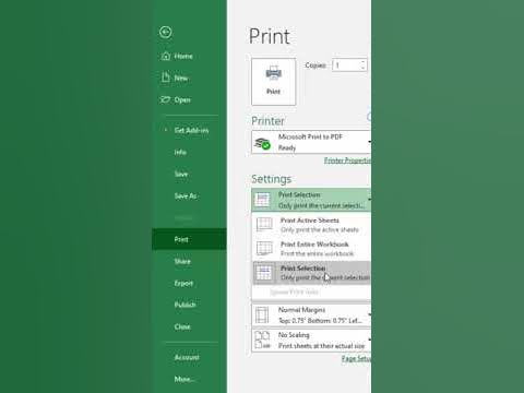 How to Convert Excel to PDF #Shorts #MSExcel #Exceltopdf - YouTube