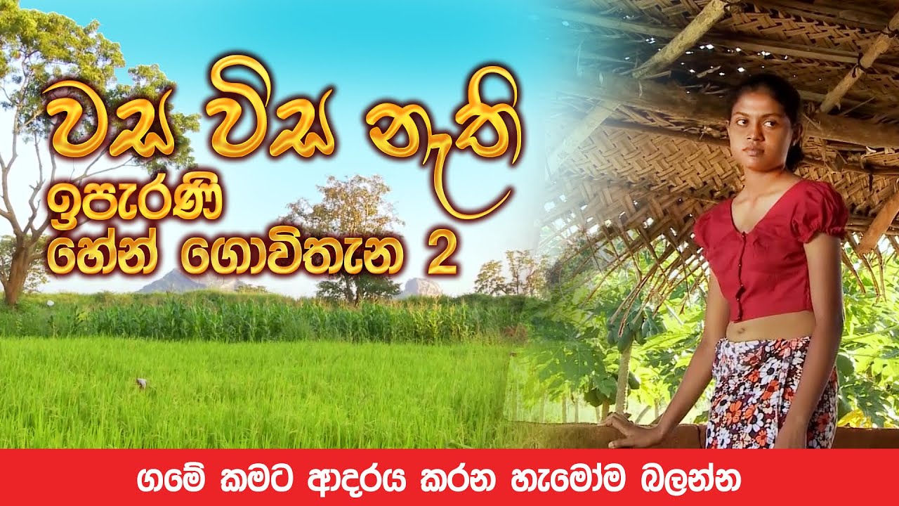 වස විස නැති ඉපැරණි හේන් ගොවිතැන 02 | Thewawa sri lankan culture ...