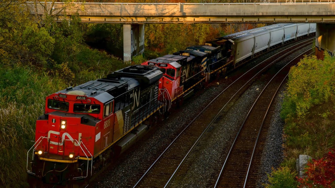 CN, CP, BCRail, GO, VIA, Amtrak, Canadian Cab, Fire, F59Ph, Train Race ...