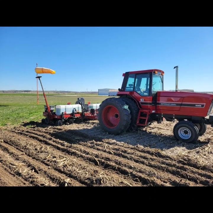 Delaney Cattle/4W Farms Spring 2024 #farmlife #nebraska #tractor #sheep ...
