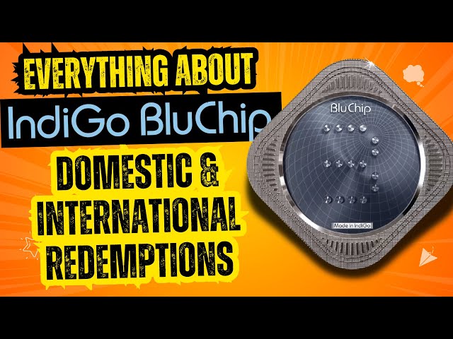 Indigo Blue Chip Membership