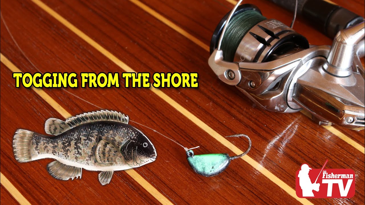 Togging from the shore - YouTube