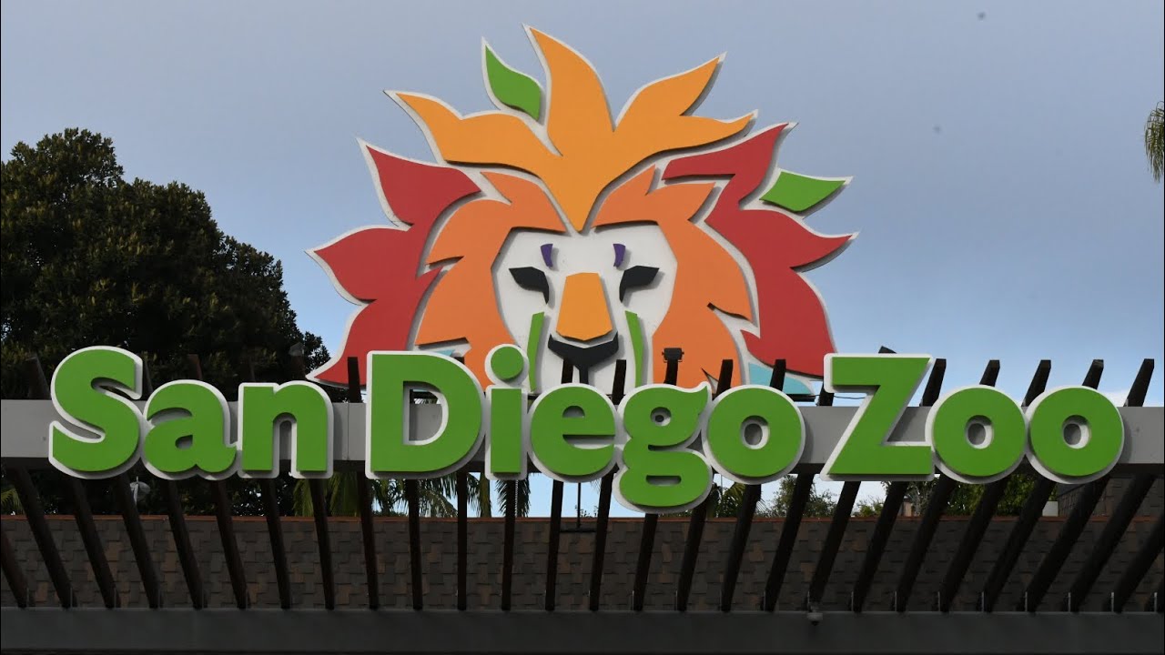 San Diego Zoo Guided Tour 2024 - YouTube
