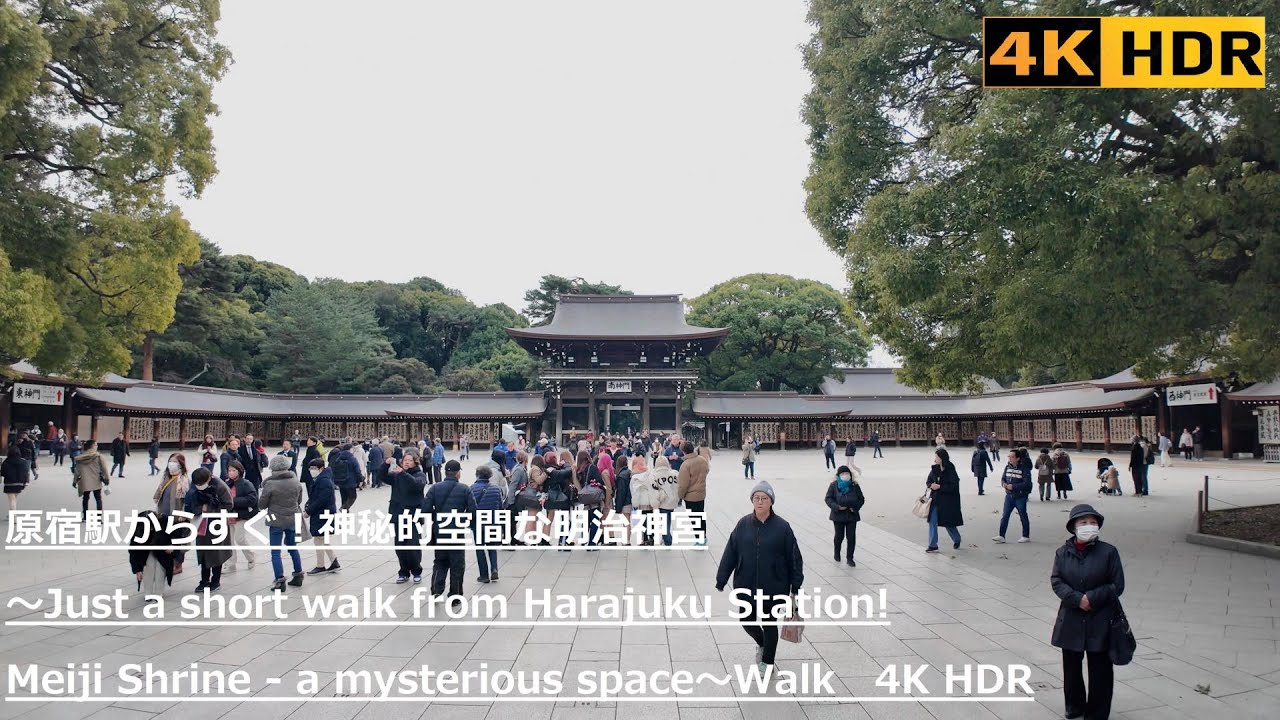 原宿駅からすぐ！神秘的空間な明治神宮～Just short walk from Harajuku Station! Meiji Shrine ...