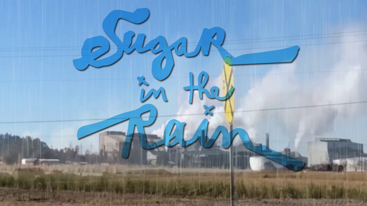 Sugar in the Rain - YouTube