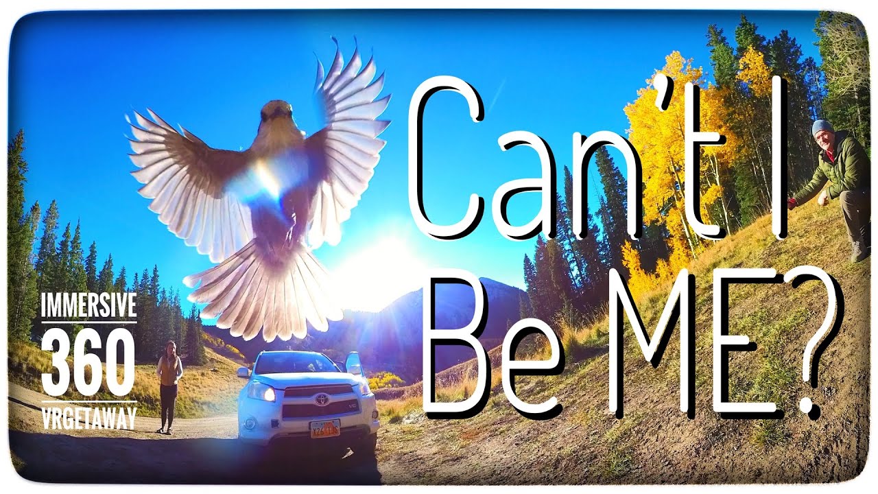 360 Nature Can't I Just Be Me? 🤪 Immersive Animal Collection 360 VR ...