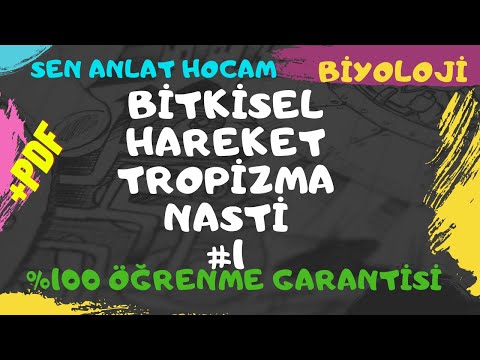 BİTKİ BİYOLOJİSİ KONU ANLATIMI 17 | BİTKİSEL HAREKET 1 | TROPİZMA-NASTİ |  AYT BİYOLOJİ | ✅