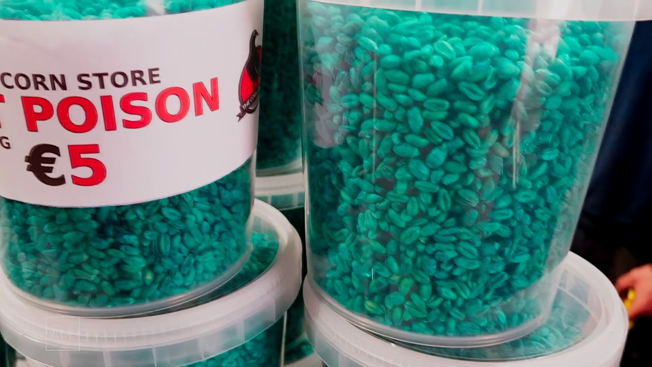 The Corn Store - YouTube