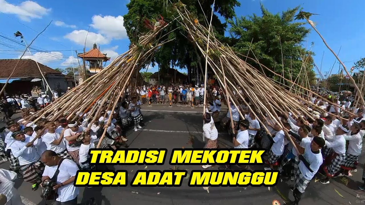 TRADISI MEKOTEK Desa Munggu 2023 - TRADISI UNIK BALI - YouTube