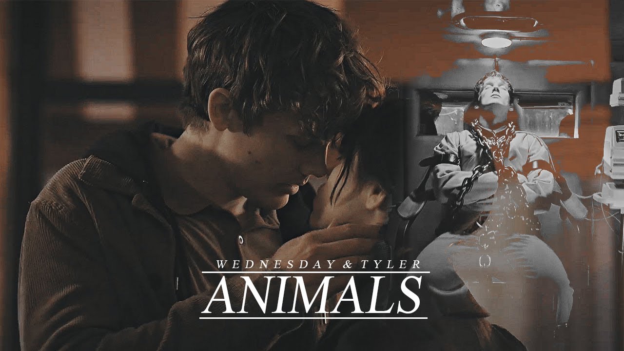 Wednesday & Tyler | animals - YouTube
