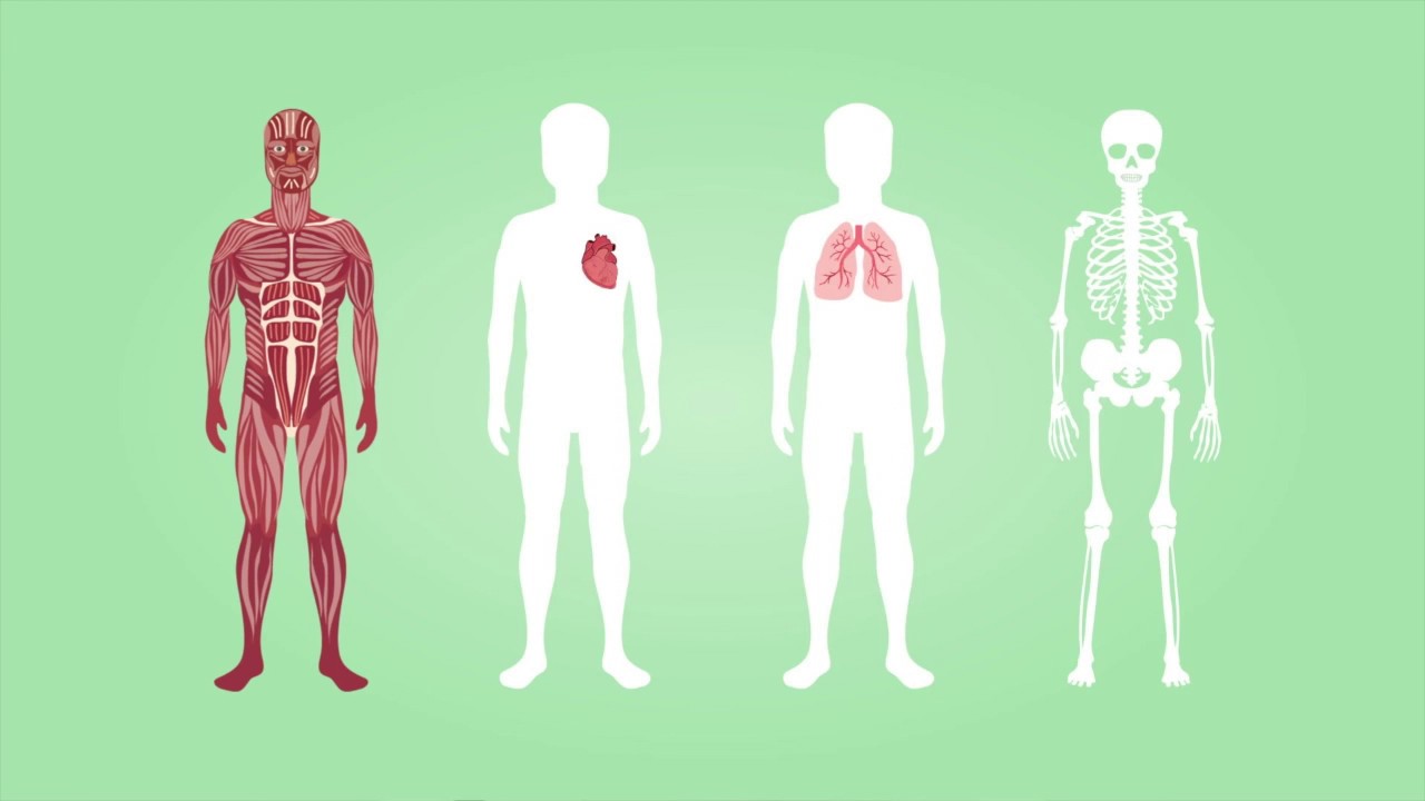 Duchenne Care Video 19: Transition - YouTube