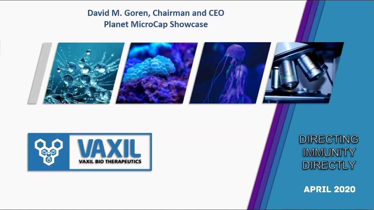 Vaxil Bio Ltd. (TSX-V: VXL) Webcast | SNN Network - YouTube