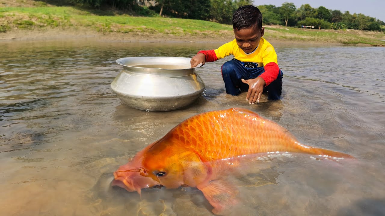 Amazing Boy Catching Fish By Hand | Traditional Boy Catching Big Fish ...