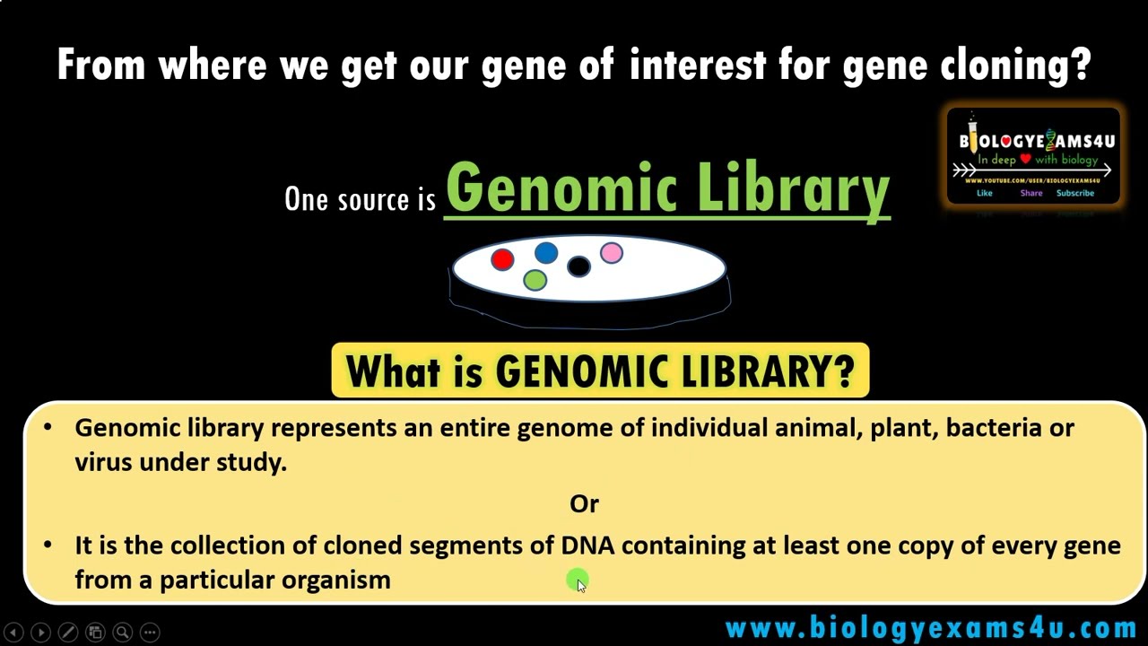 Genomic Library Ppt