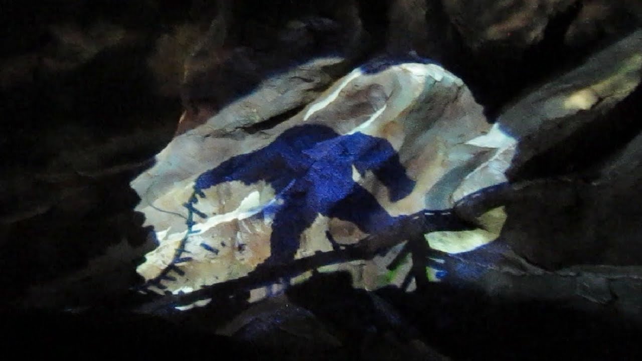 Expedition Everest Yeti Shadow