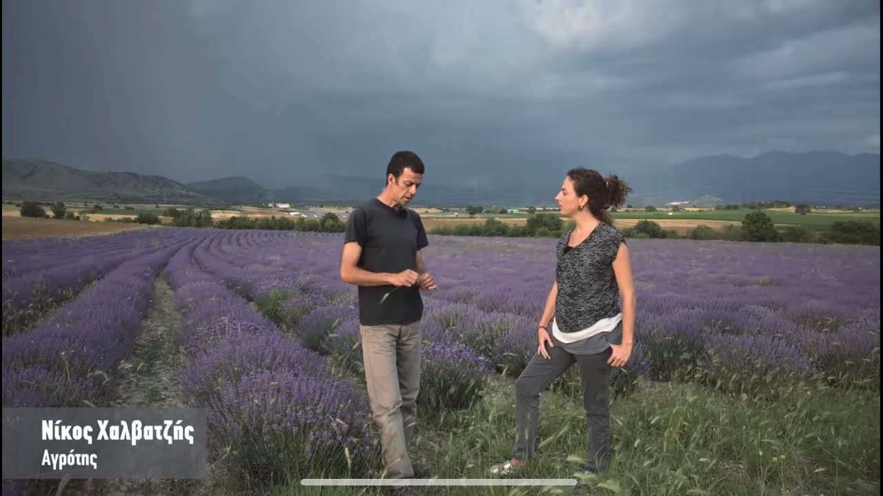 'The Switch' looks into the transition from fossil fuels to alternative ...
