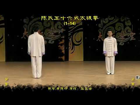 Chen Tai Chi/Taiji 56 forms 1-14/ instructional/front and back views/Li Deyin Master