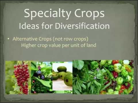 Farm Diversification - Ideas on Alternative Crops - YouTube