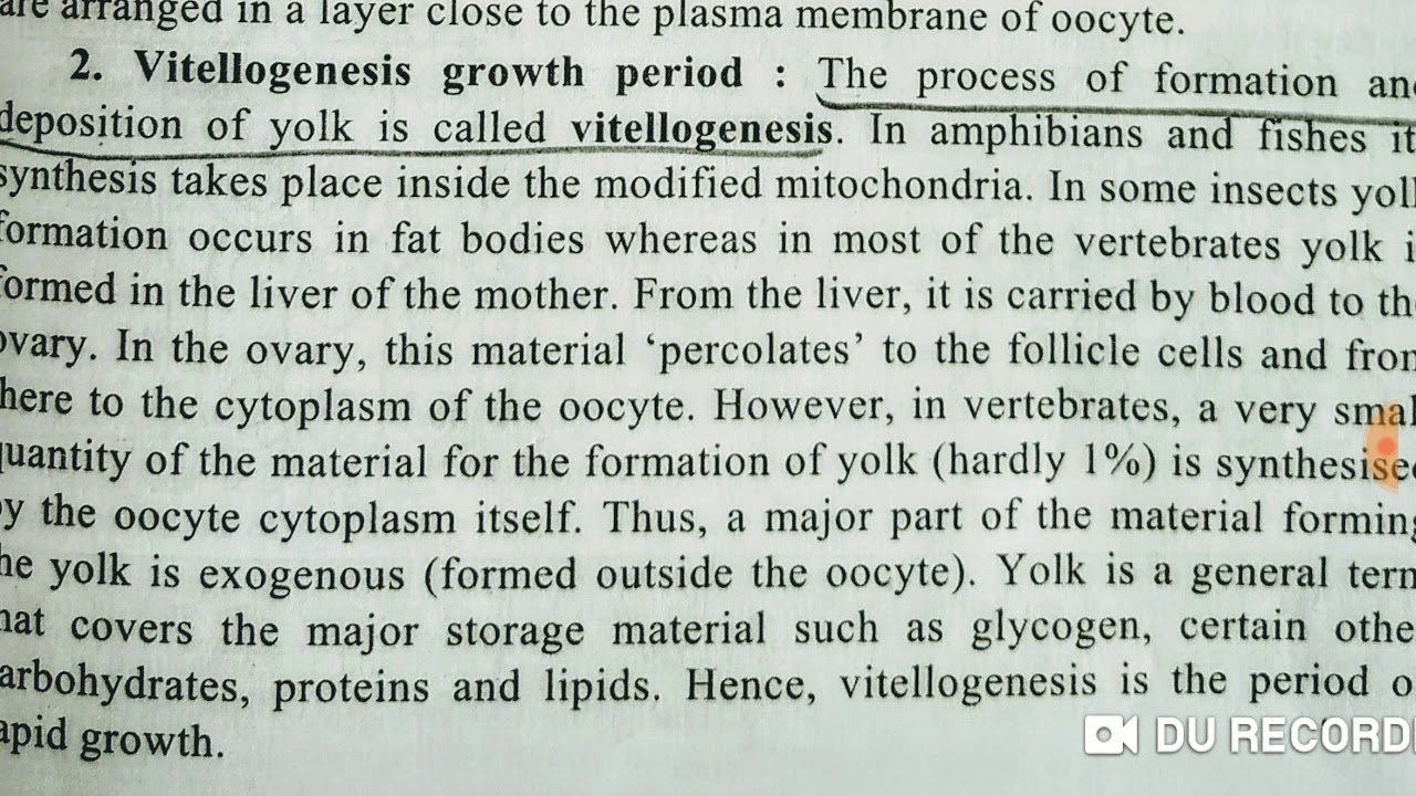 Vitellogenesis of oogenasis.... - YouTube
