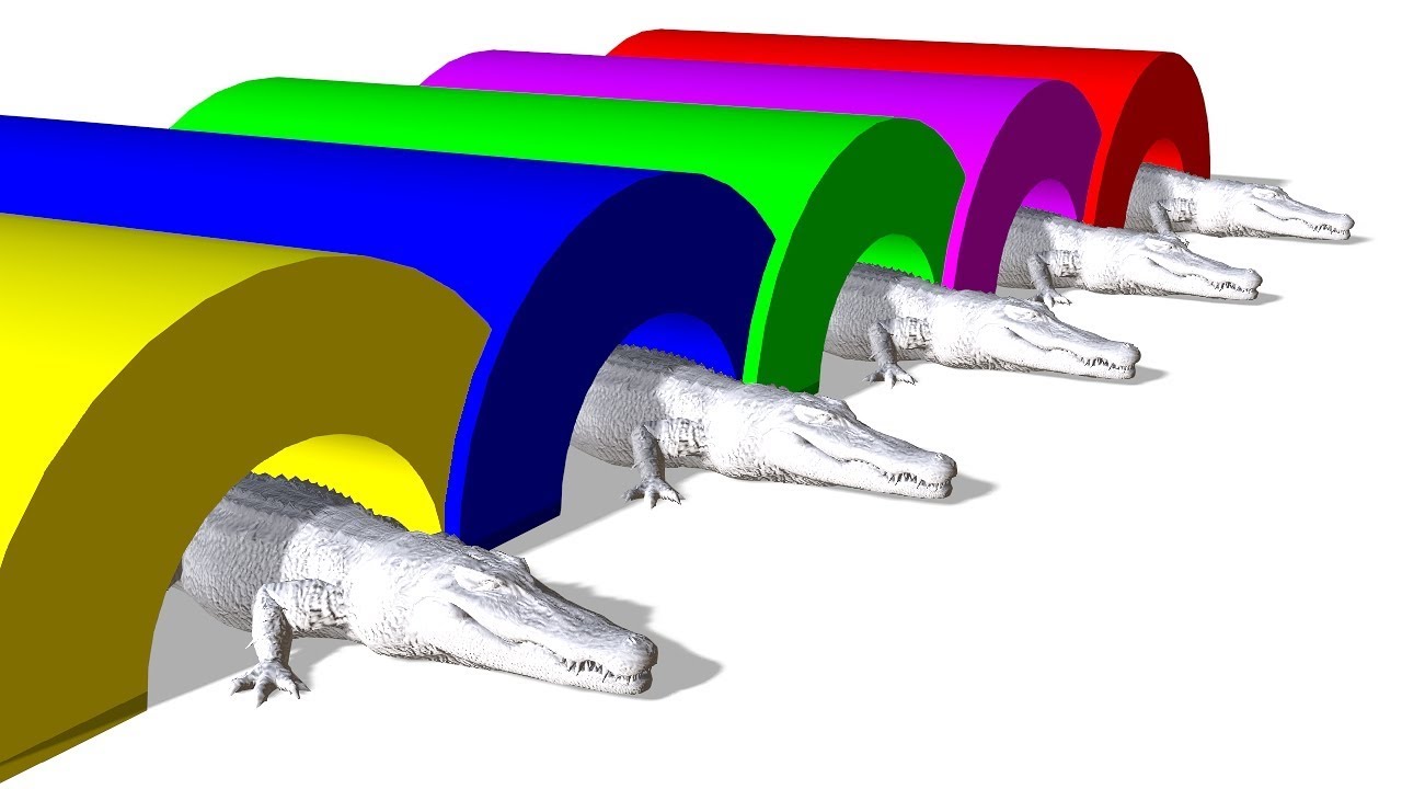 LEARN COLORS WITH zoo ANIMALS FOR KIDS AND-Colours for Kids to Learn ...