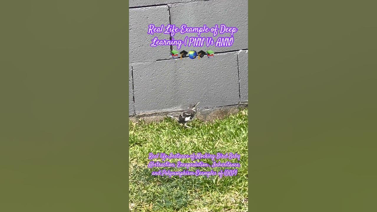 Physical Neural Network V.S. Artificial Neural Network (AI and Deep ...