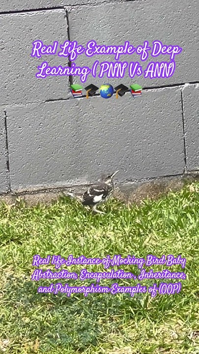 Physical Neural Network V.S. Artificial Neural Network (AI and Deep ...