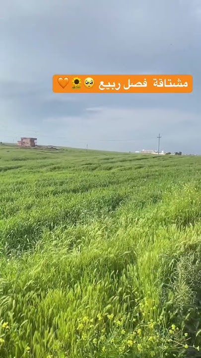 Explore اكسبلور ترند Cover تيكتوك Religion تصويري لايك Explore Cover Youtube